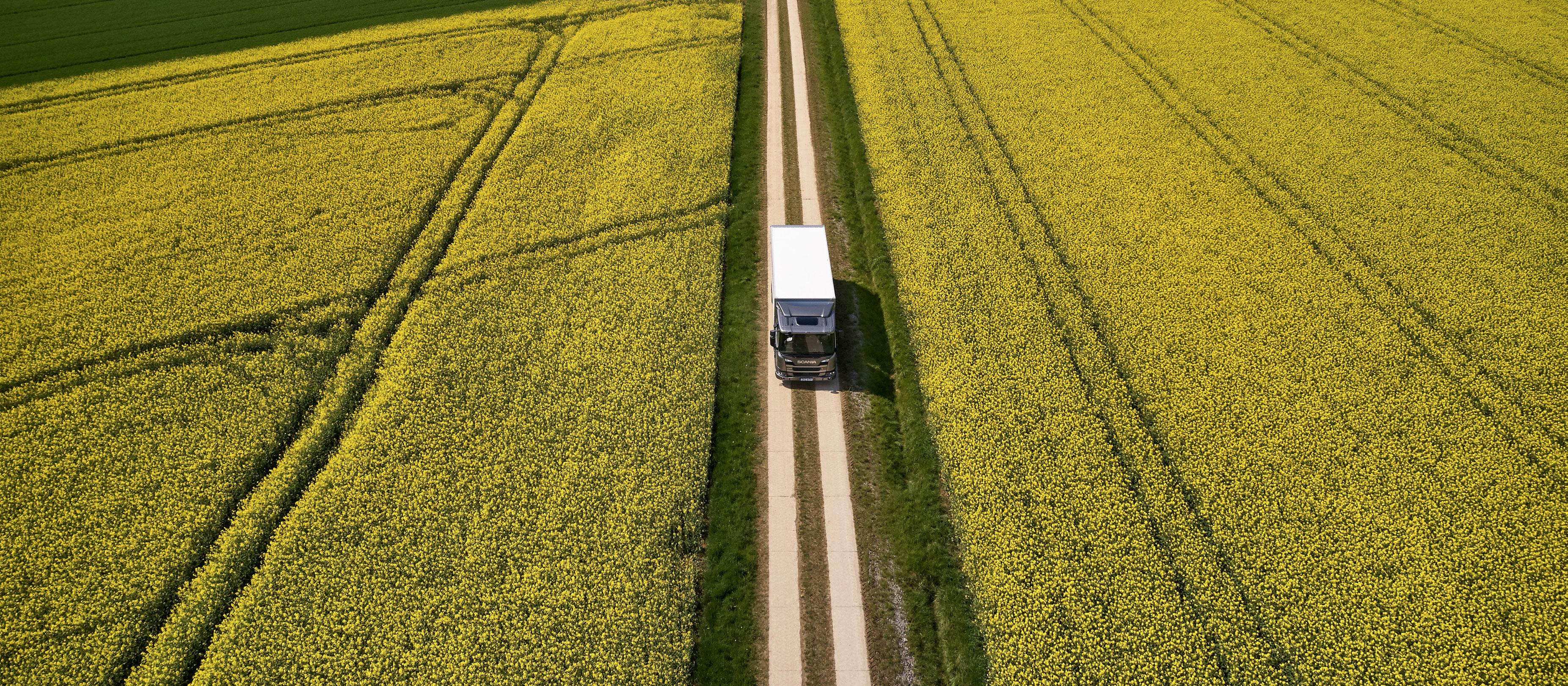 Corporate governance | Scania Group