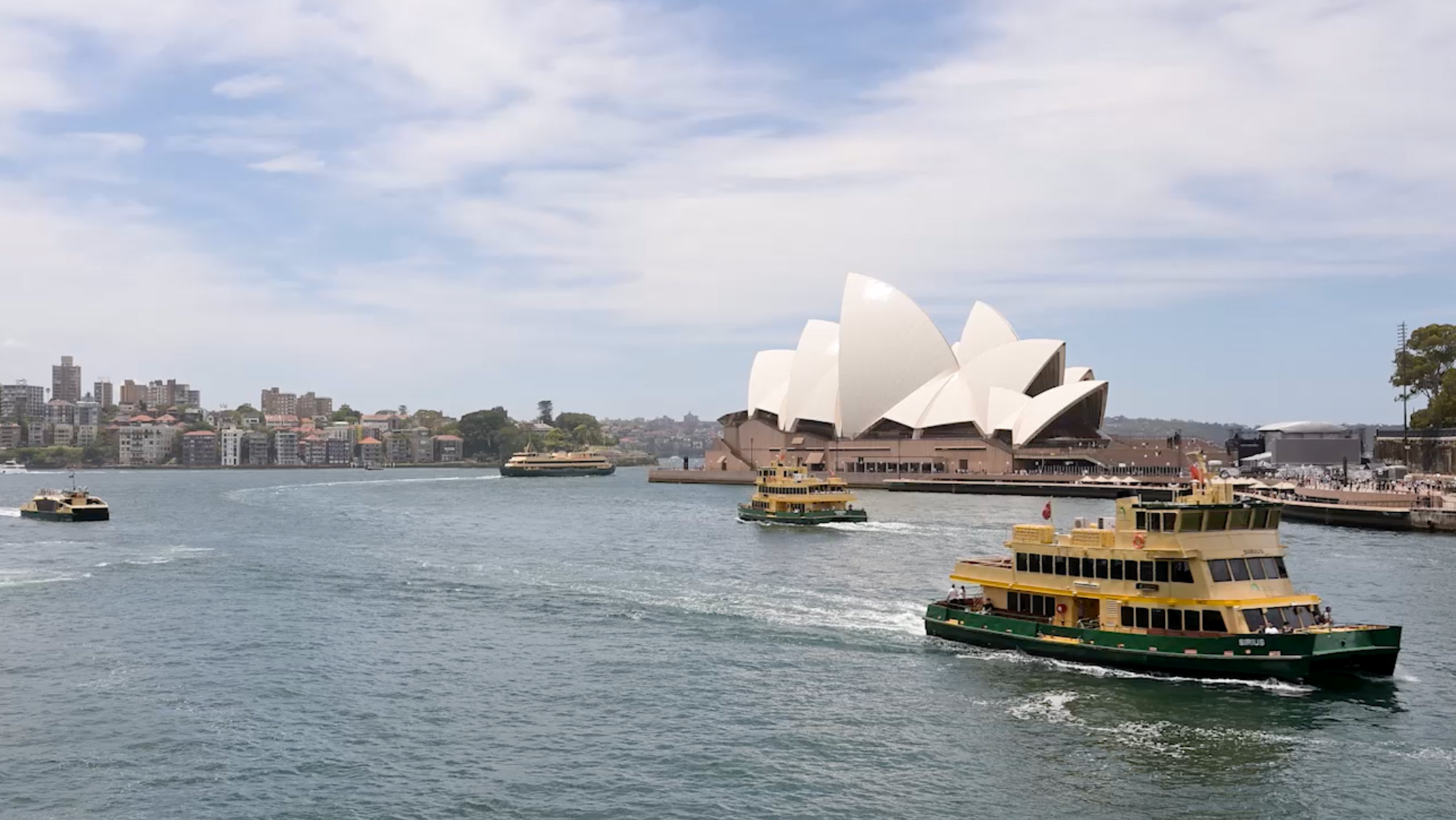 Scania and SeaLink’s partnership powers Sydney harbour | Scania Group