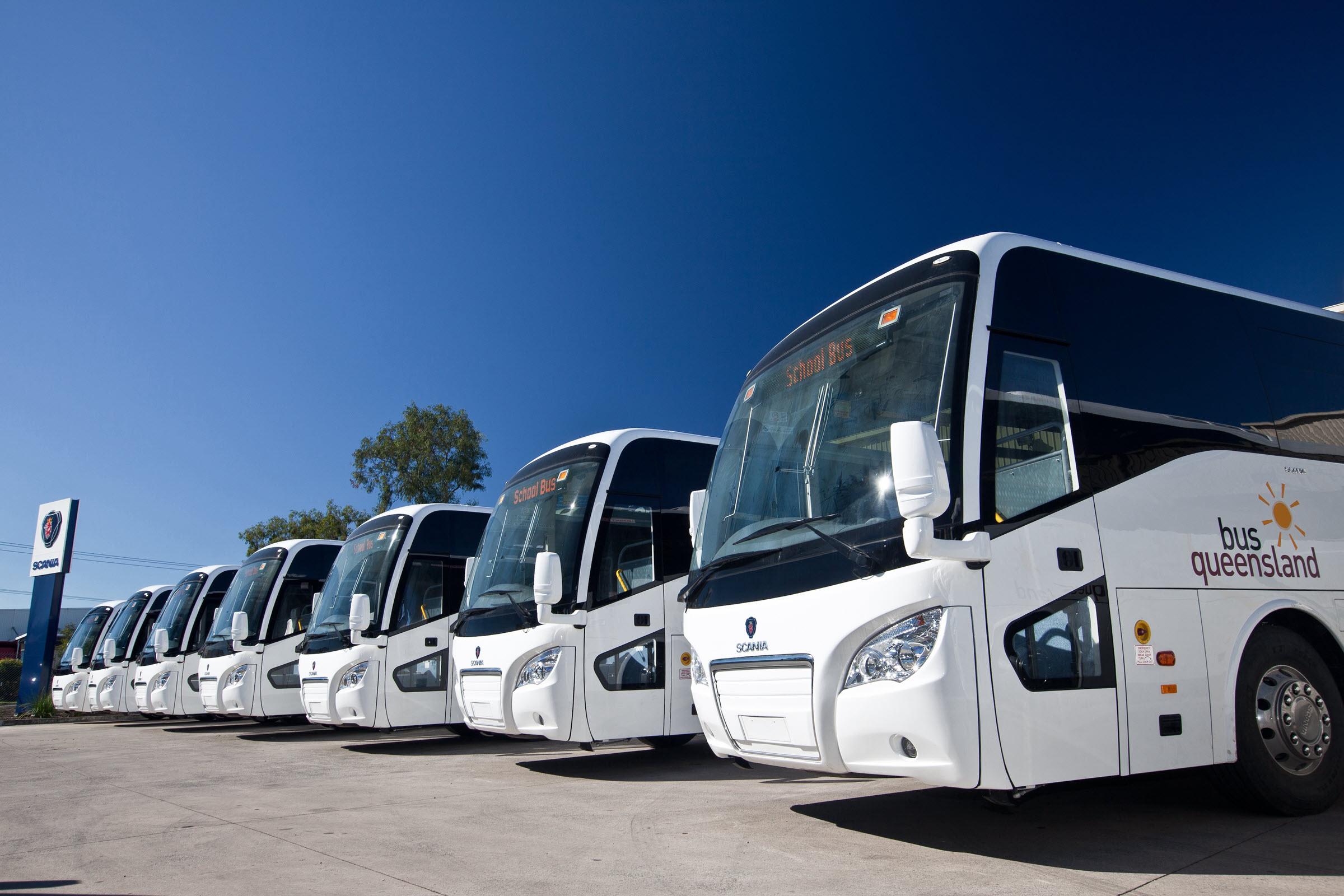 500 Not Out: Scania Celebrates Bus Milestone | Scania Australia