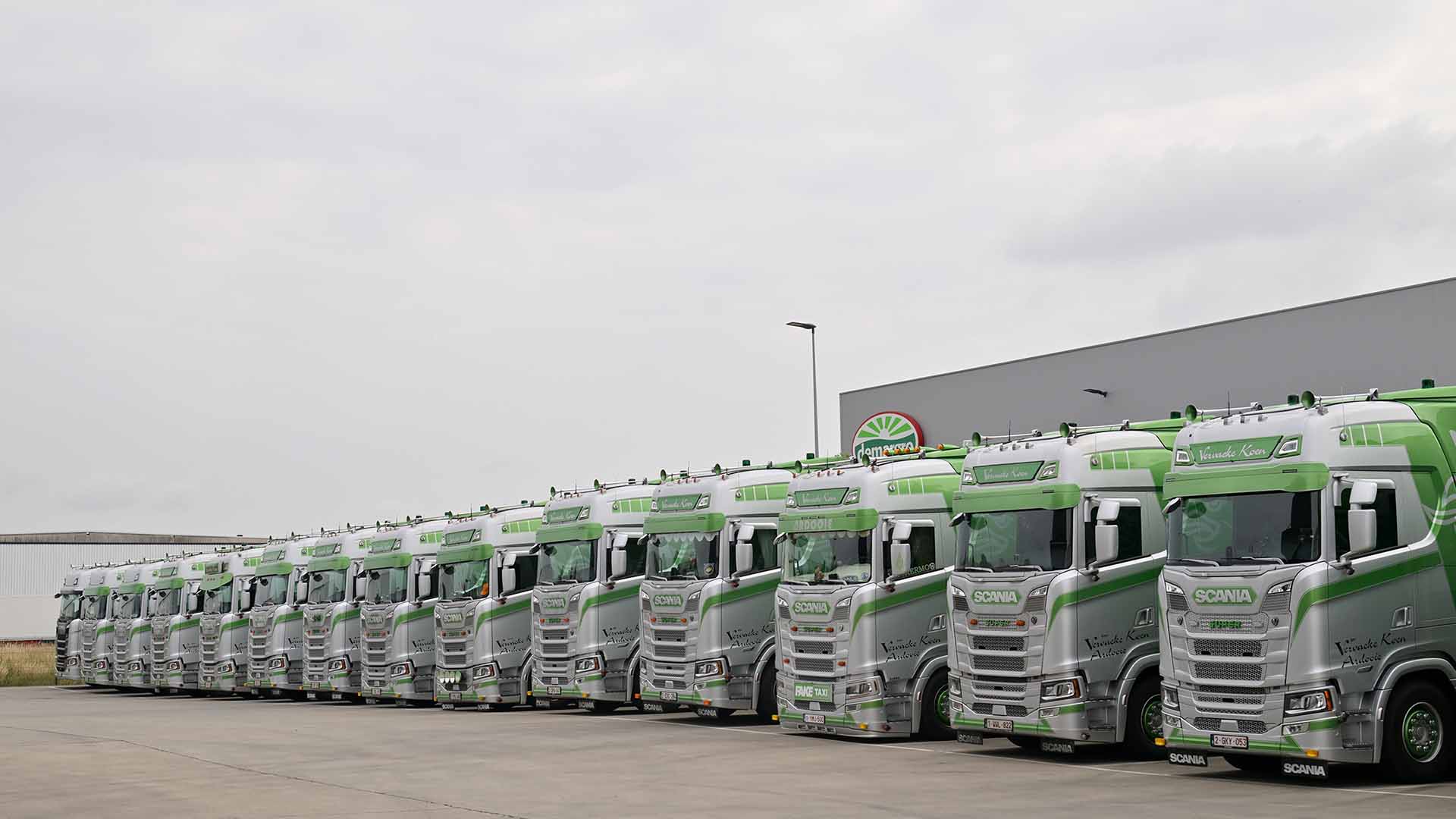 Transport Vervaeke Koen en Y Line: 100% Scania | Scania België