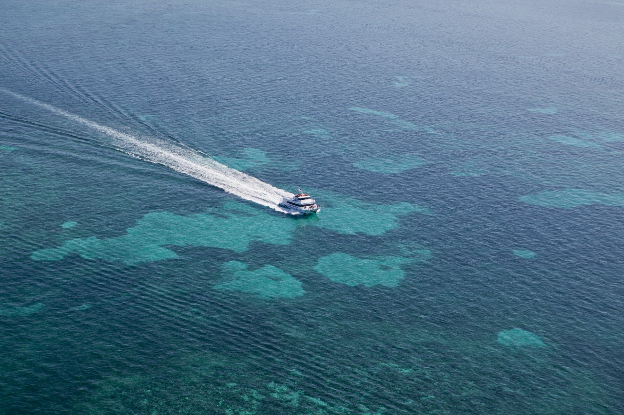 Iar 95 Bimotor Trento