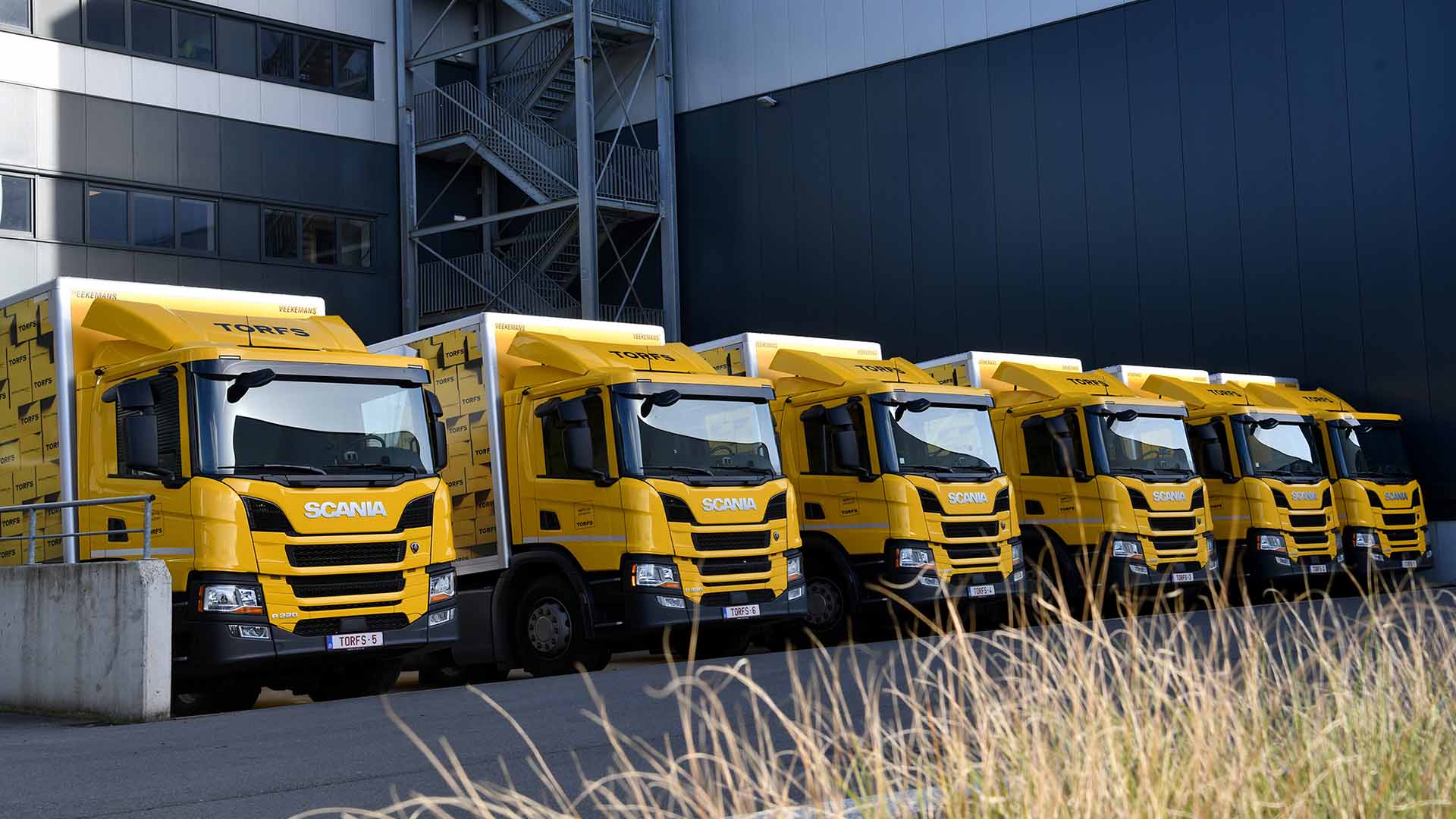 Six porteurs Scania P220 pour Schoenen Torfs | Scania Luxembourg