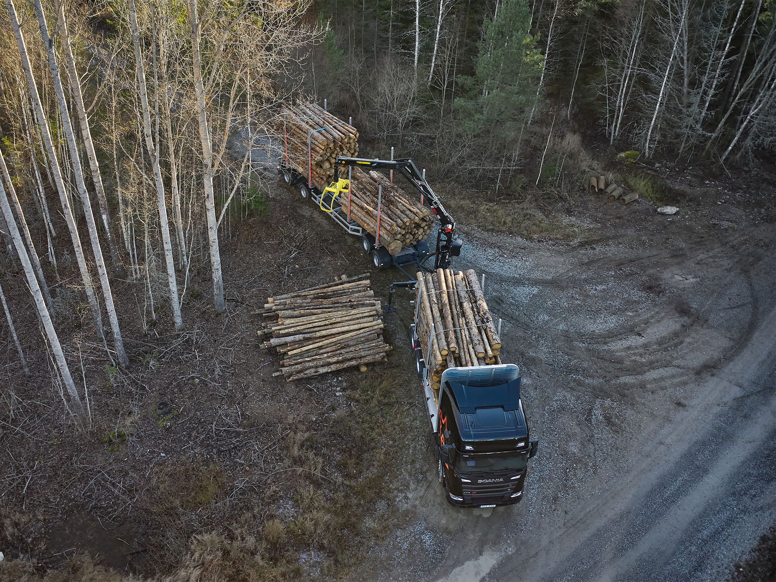 Timber and Forestry transport | Scania Group