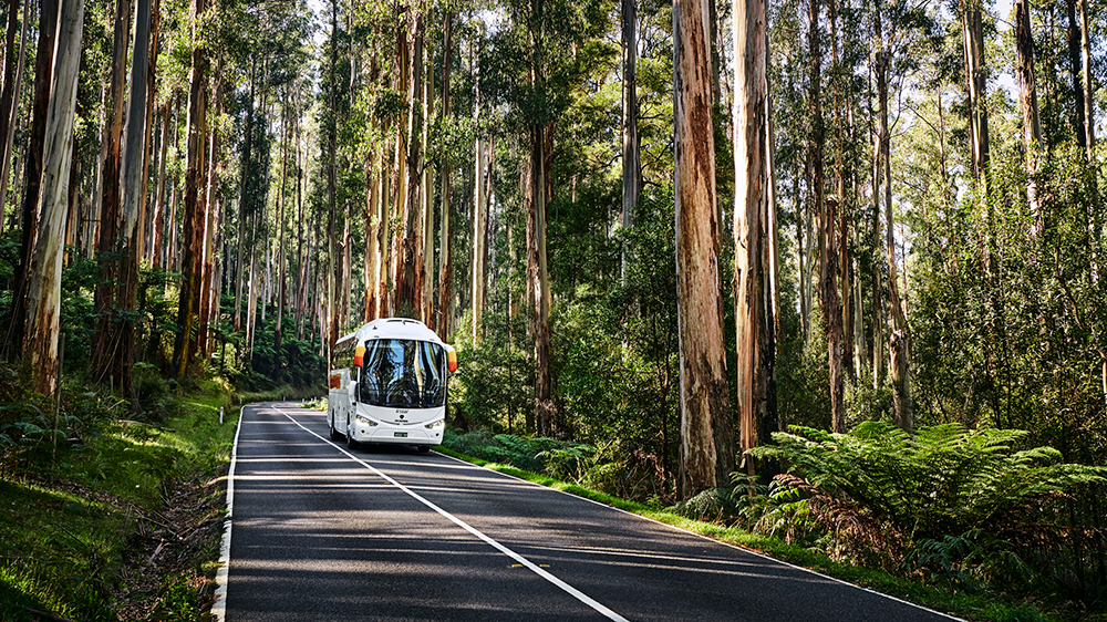 Transport of personnel | Scania Australia