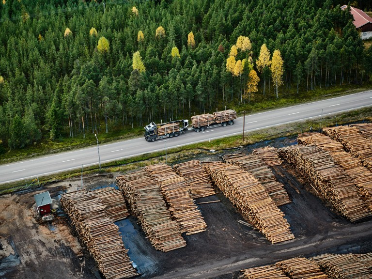 Timber and Forestry transport | Scania Global