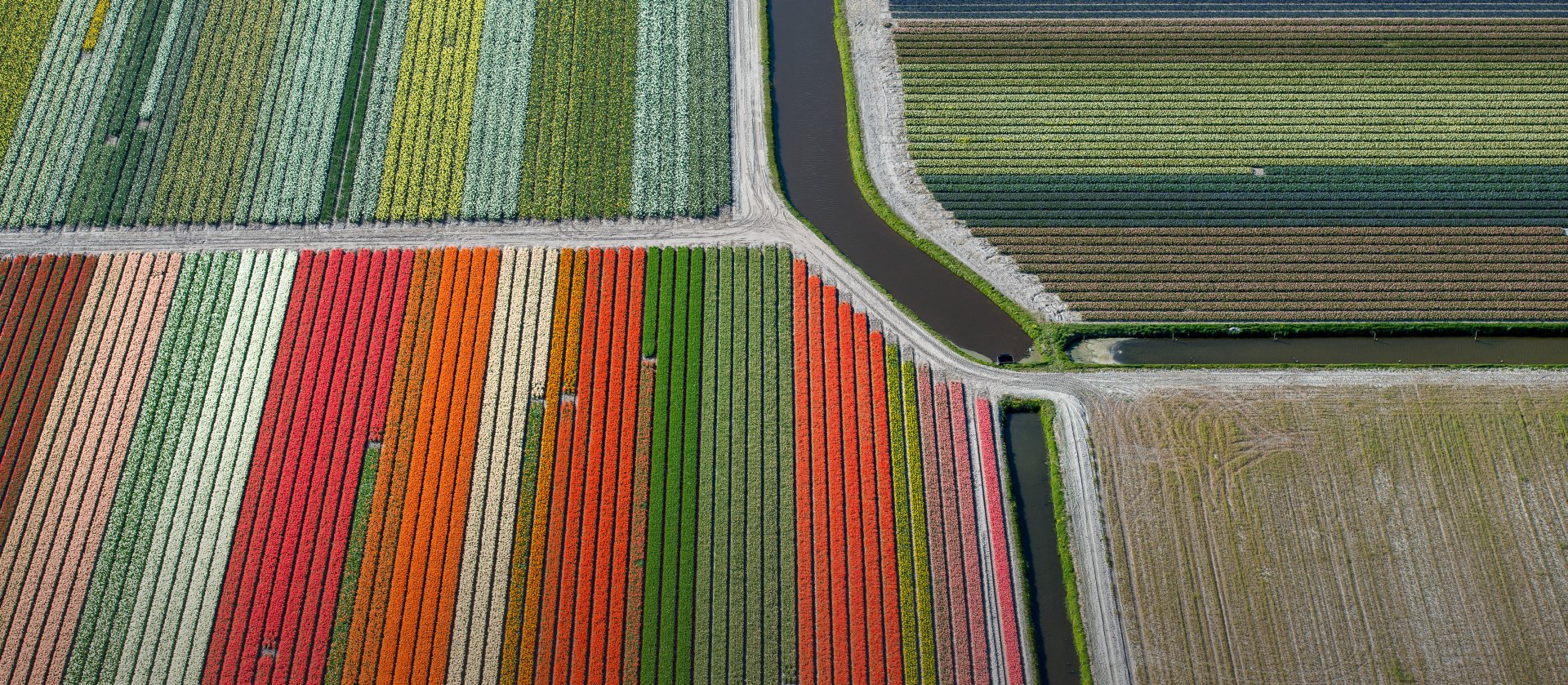 Contact us | Scania North America