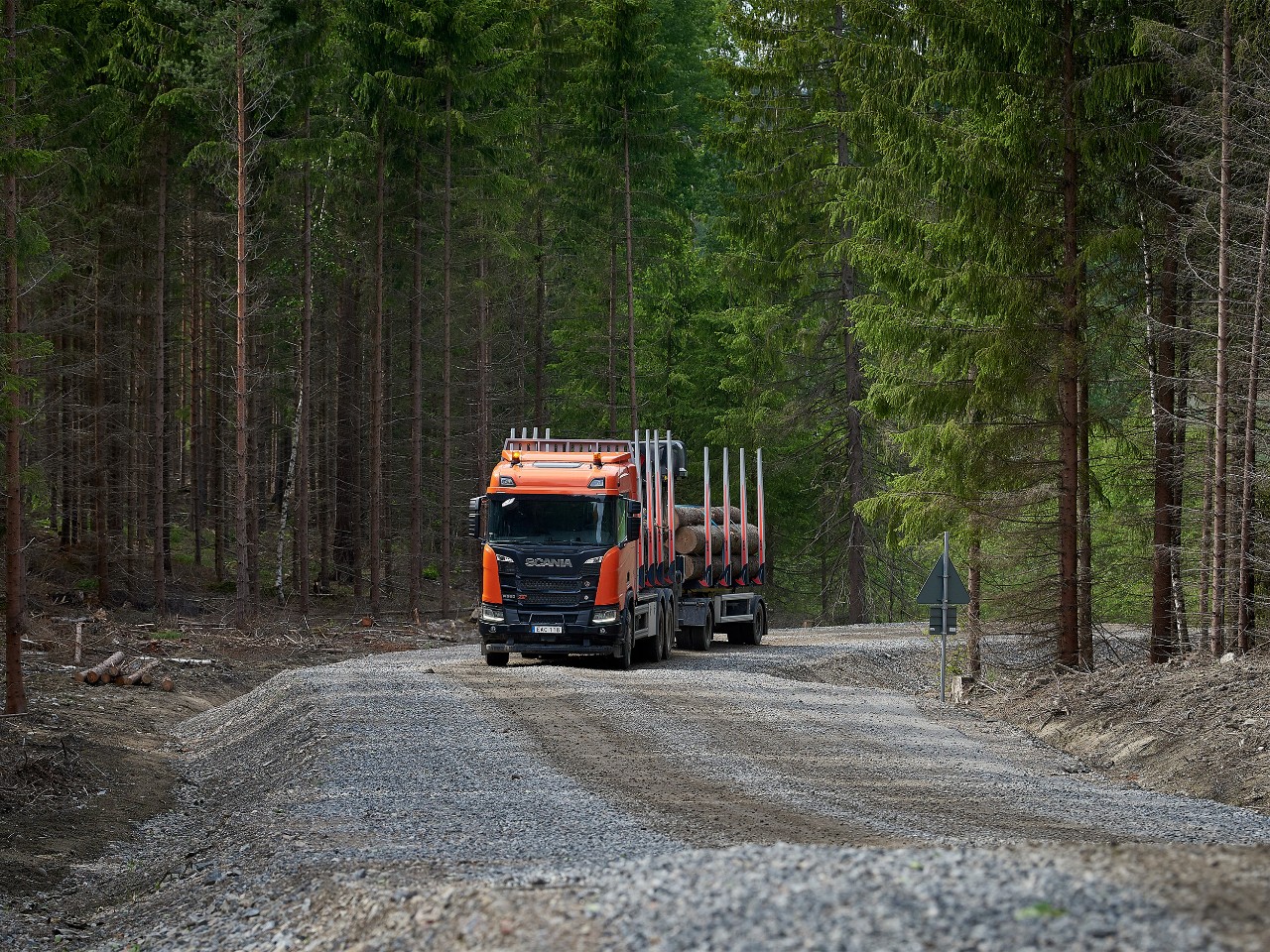 Timber and Forestry transport | Scania South Africa